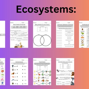 Third Grade Science Bundle | Answer Keys | Science Worksheets ...
