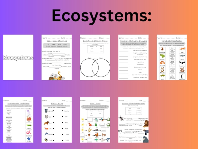 Third Grade Science Bundle | Answer Keys | Science Worksheets ...
