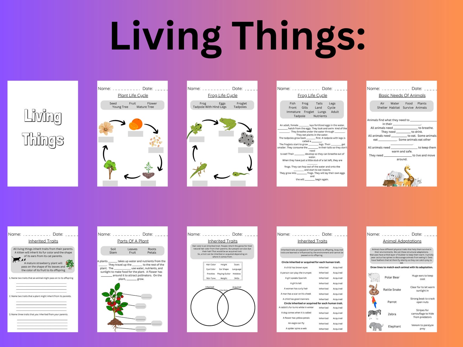 Third Grade Science Bundle | Answer Keys | Science Worksheets ...