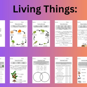 Third Grade Science Bundle | Answer Keys | Science Worksheets ...