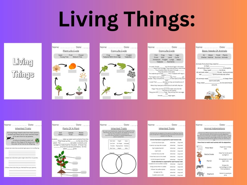 Third Grade Science Bundle | Answer Keys | Science Worksheets ...
