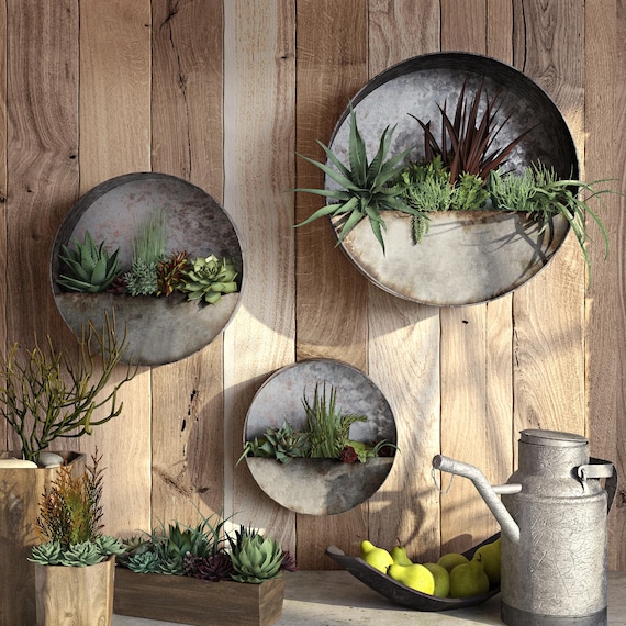 Indoor succulent planter store