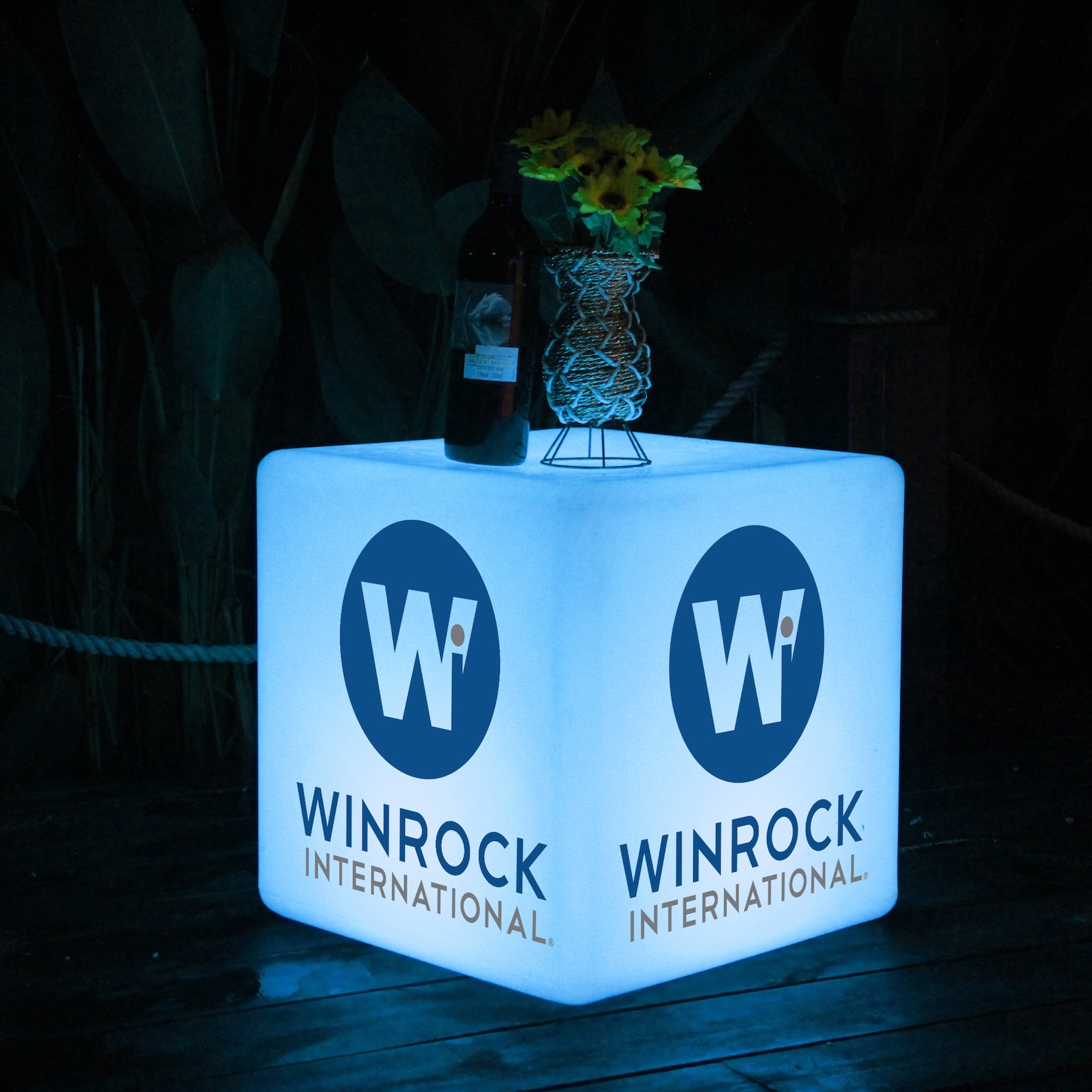 Customizable Illuminated Logo Cube: Wireless RGB Display for Events ...