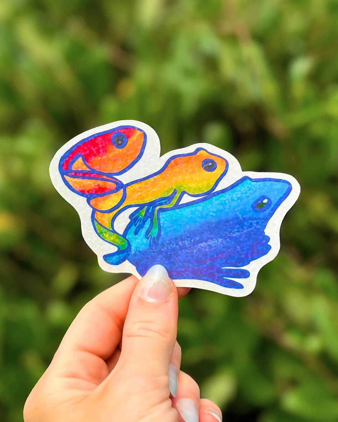 Rainbow Frog Sticker, Holographic Pride Sticker, LGBTQ+ Vinyl Decal ...