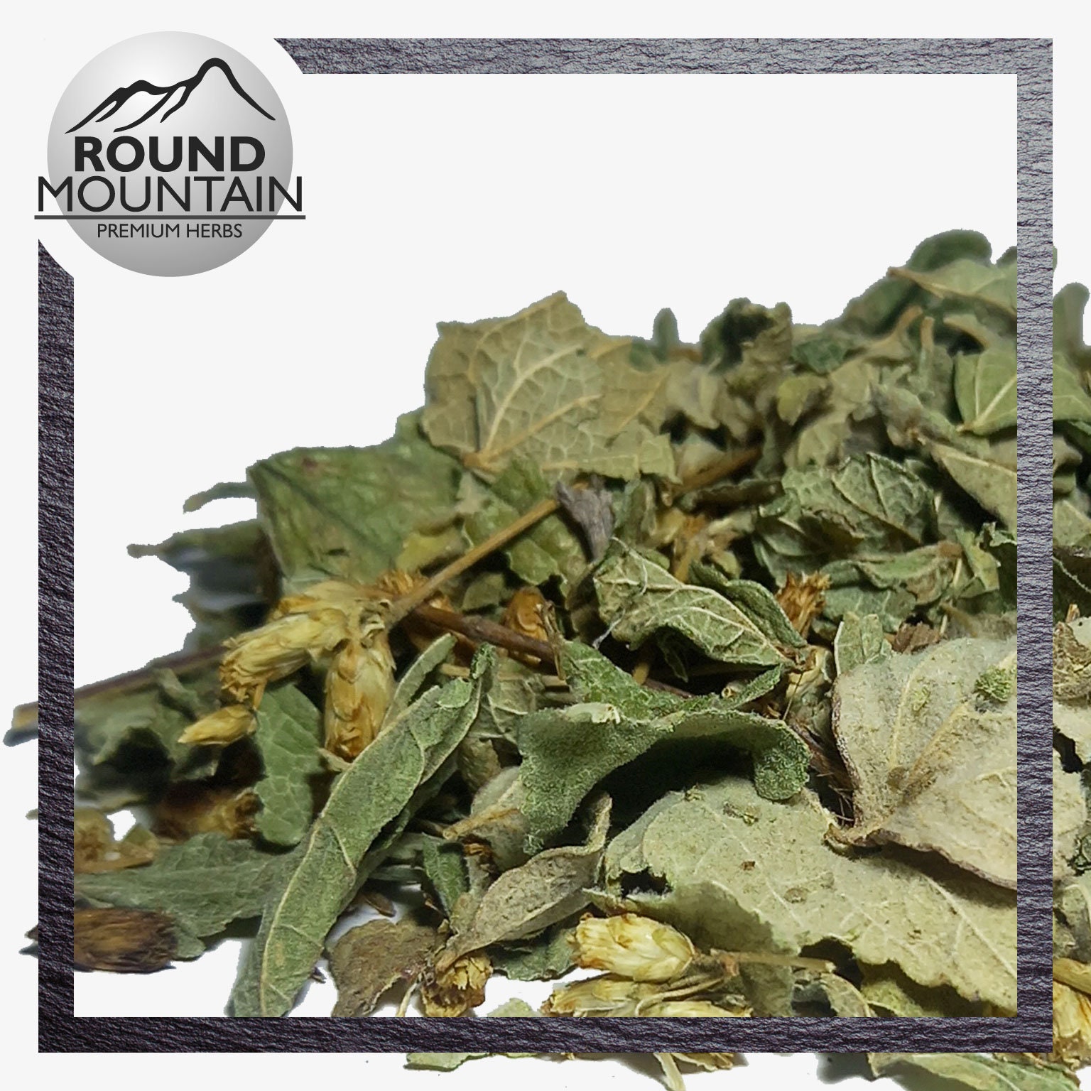 Mexican Dream Herb Premium Herbal Tea Calea Zacatechichi Dream Herb ...