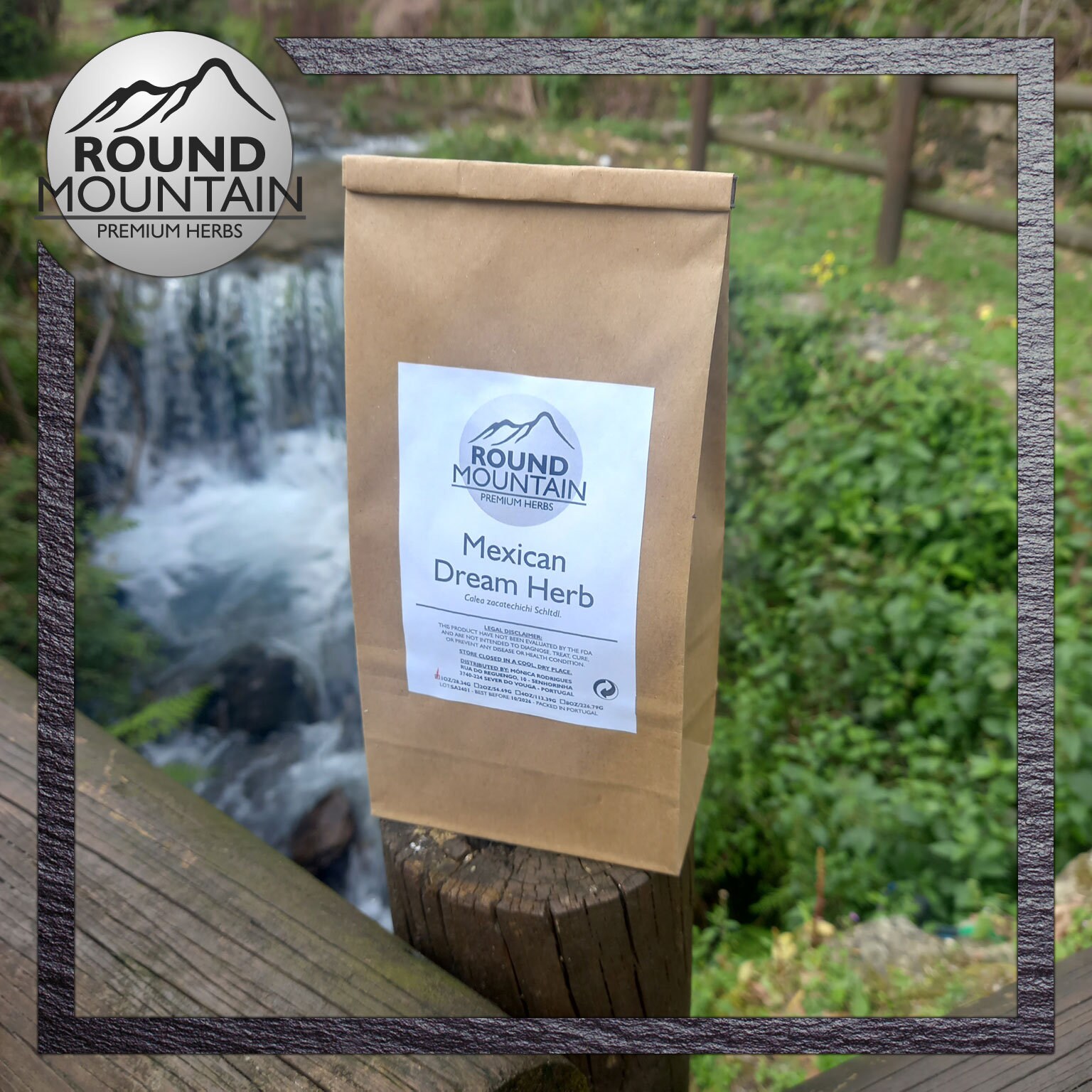 Mexican Dream Herb Premium Herbal Tea Calea Zacatechichi Dream Herb ...