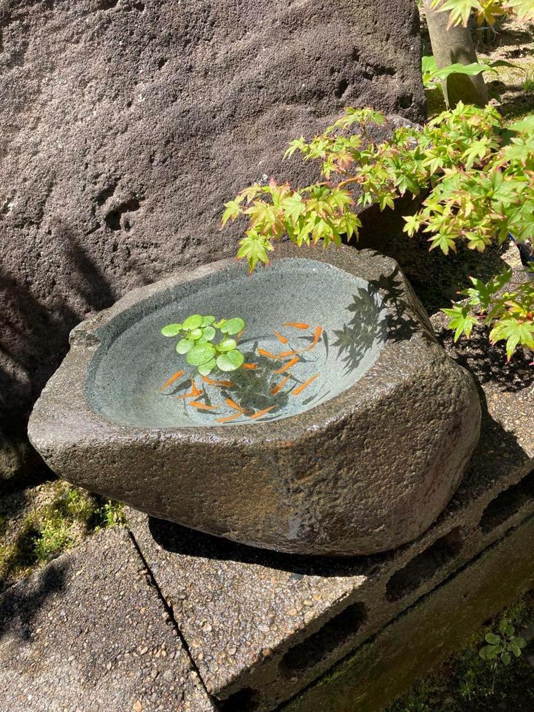 Handcrafted Japanese Natural Stone Basin for Garden Use Medaka, Koi ...