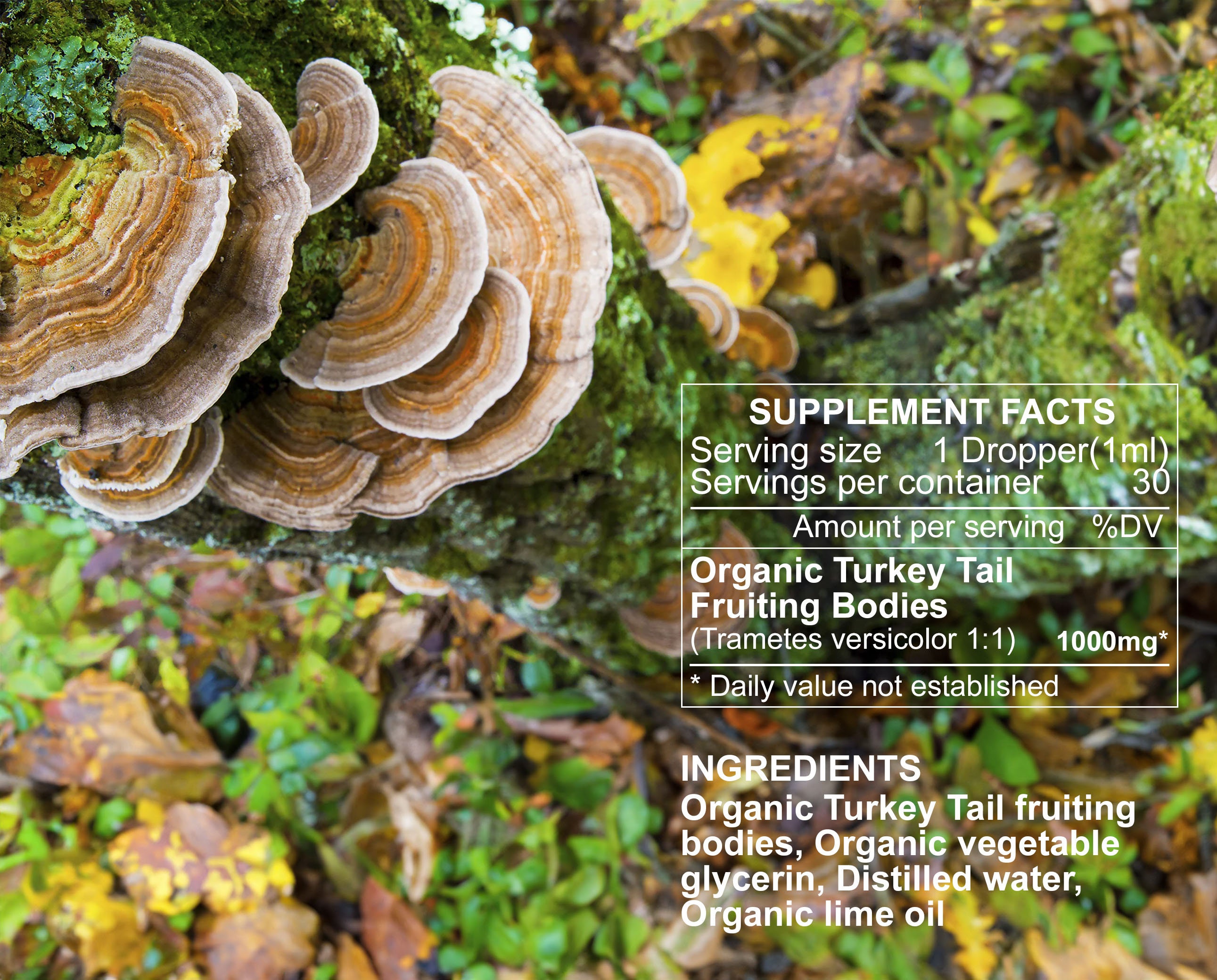 Organic Triple Extracted Mushroom Tincture Bundle - Etsy