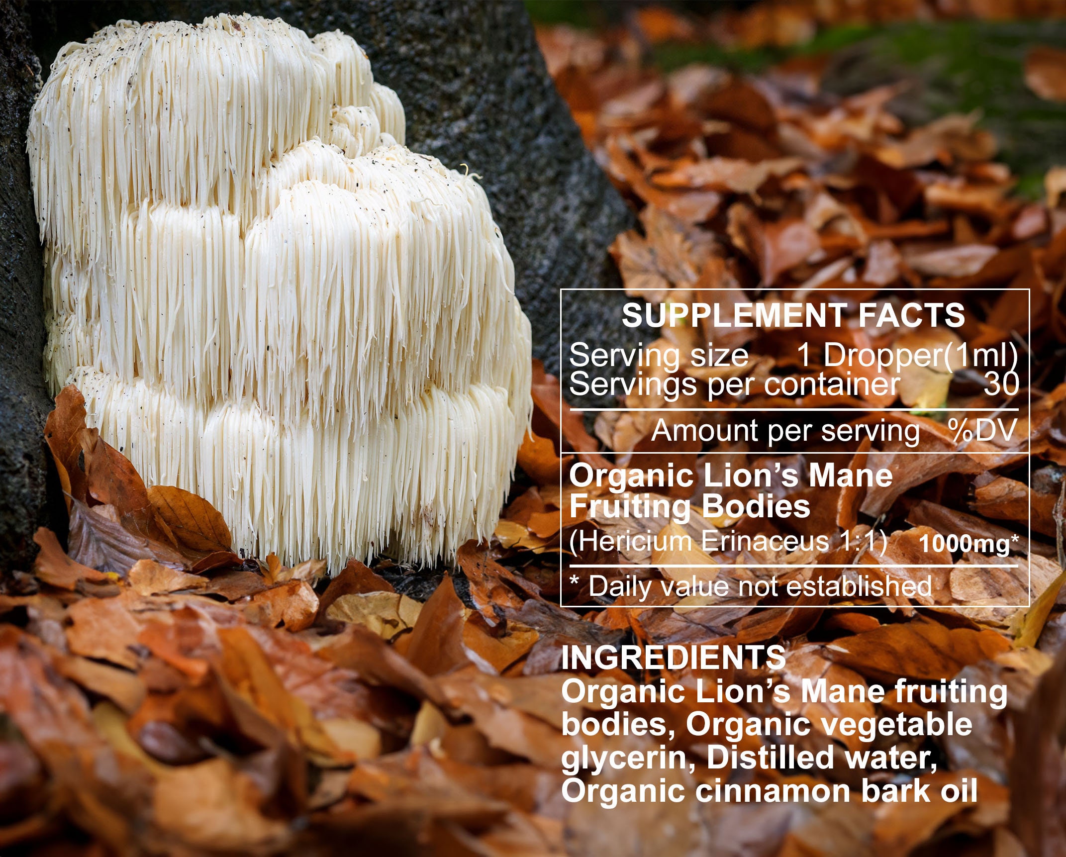Organic Triple Extracted Mushroom Tincture Bundle - Etsy