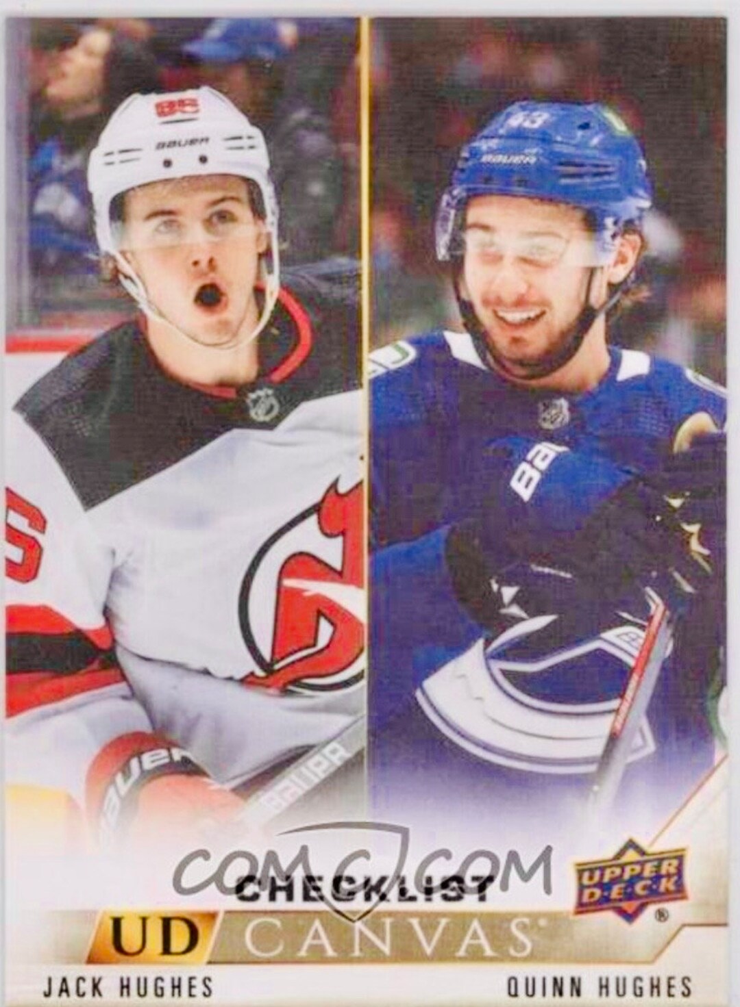 Jack & Quinn Hughes Devils/canucks Official NHL Licensed Product - Etsy
