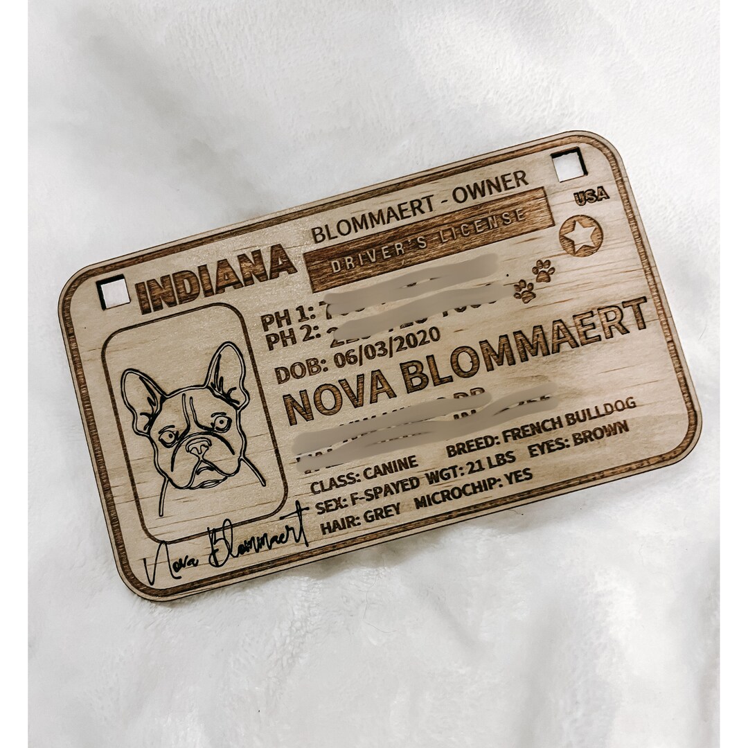 Personalized Pet Name Tag, Custom Pet Name Tag, Crate Name Tag, Kennel ...