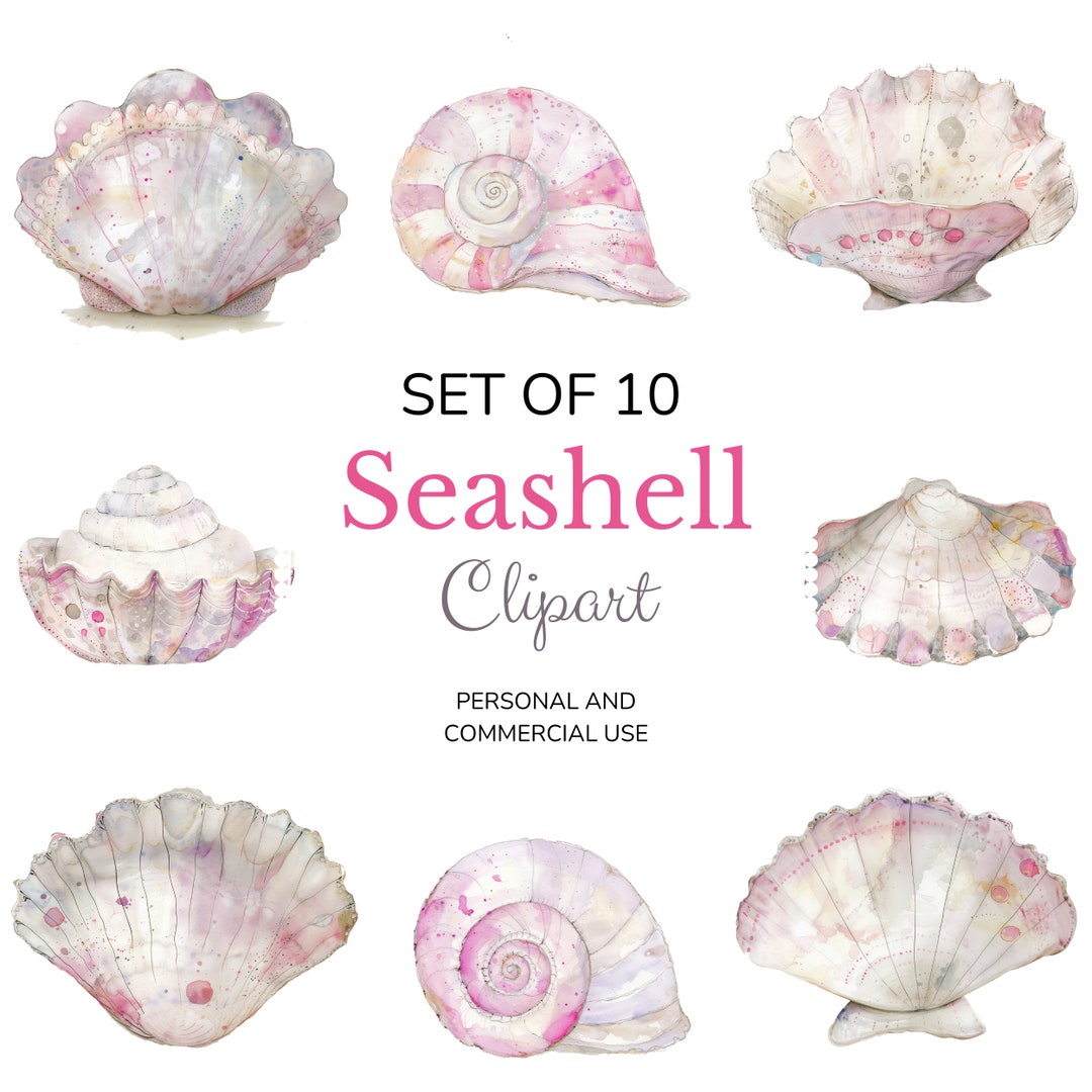 Shell Clip Art, Watercolor, Summer Clip Art, Shells Clipart Transparent ...