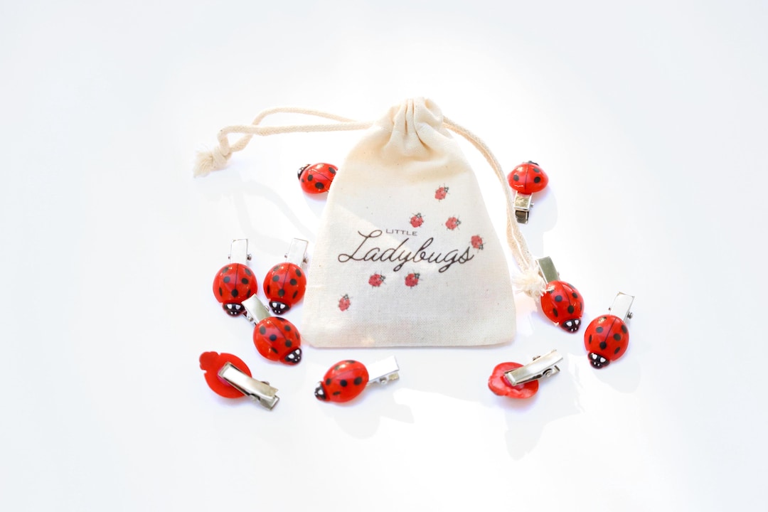 Ladybug Hair Clips - 10 Piece Mini Bug Clips - Birthday Gift - Etsy