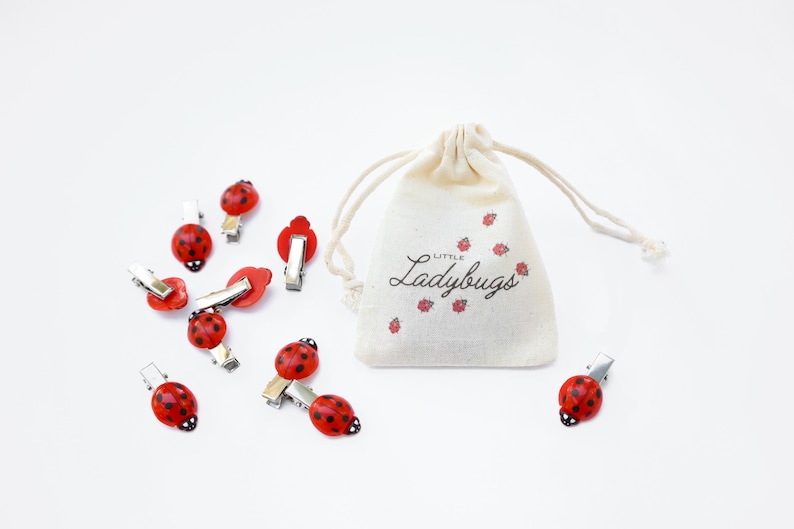 Ladybug Hair Clips - 10 Piece Mini Bug Clips - Birthday Gift - Etsy