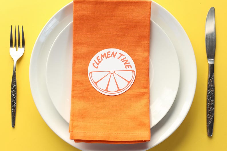 Citrus Slice Name Place Cards: Lemon Wedding, Amalfi Coast Spritz ...