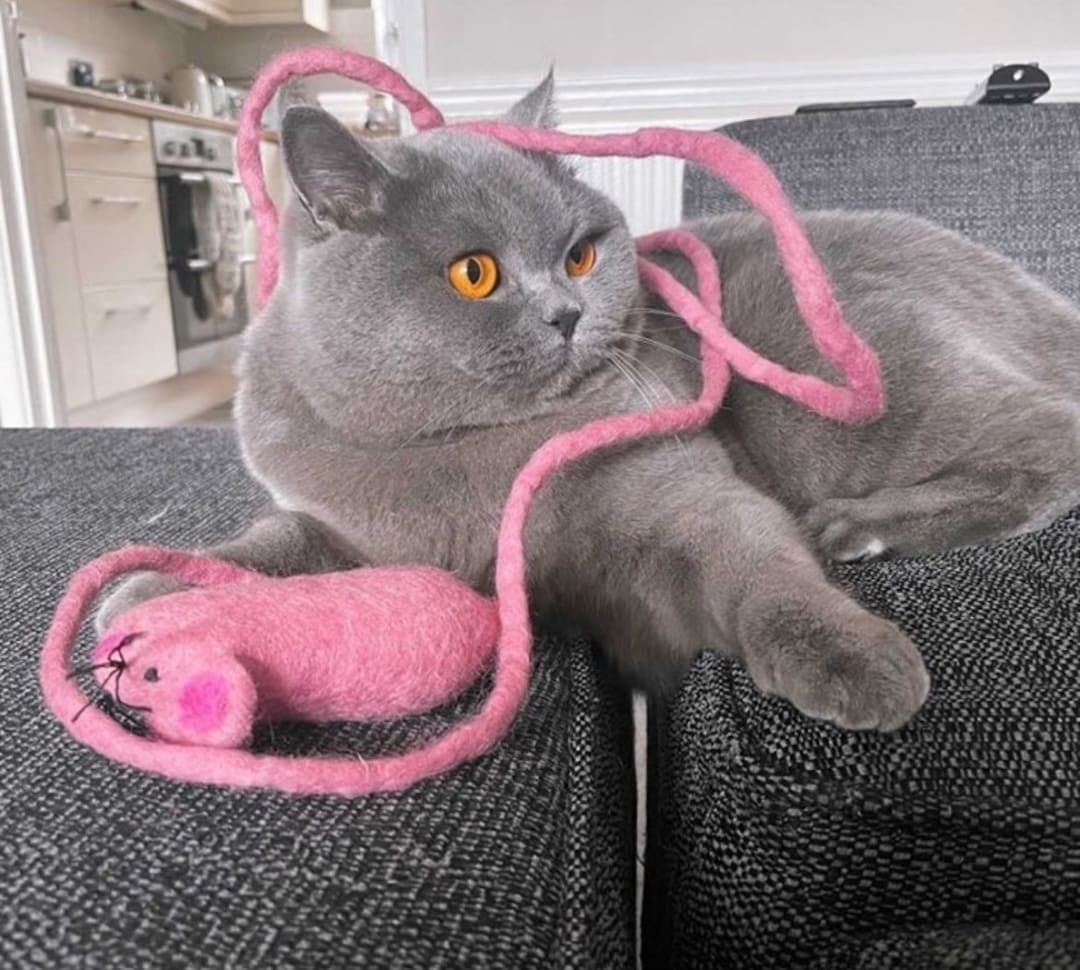 Cat Toy, Handmade Felt Mouse Interactive Cat Play Toy - With 2m Tail ...