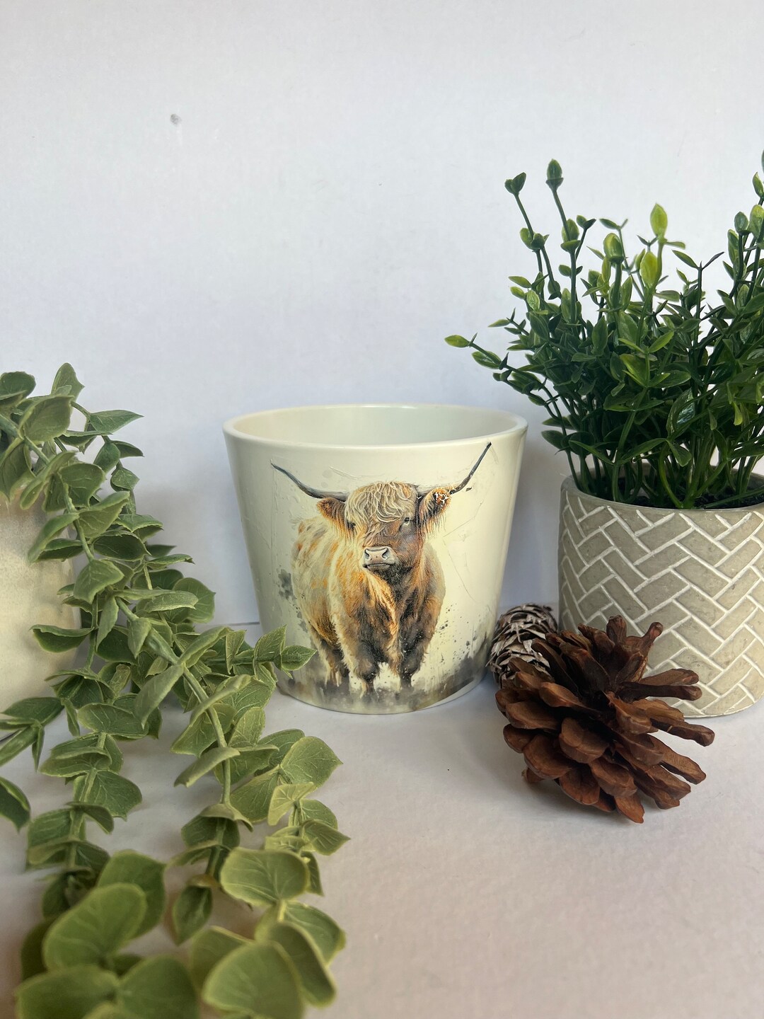 Stunning Various Highland Cow Ceramic Pots. Available 3 Sizes - Etsy