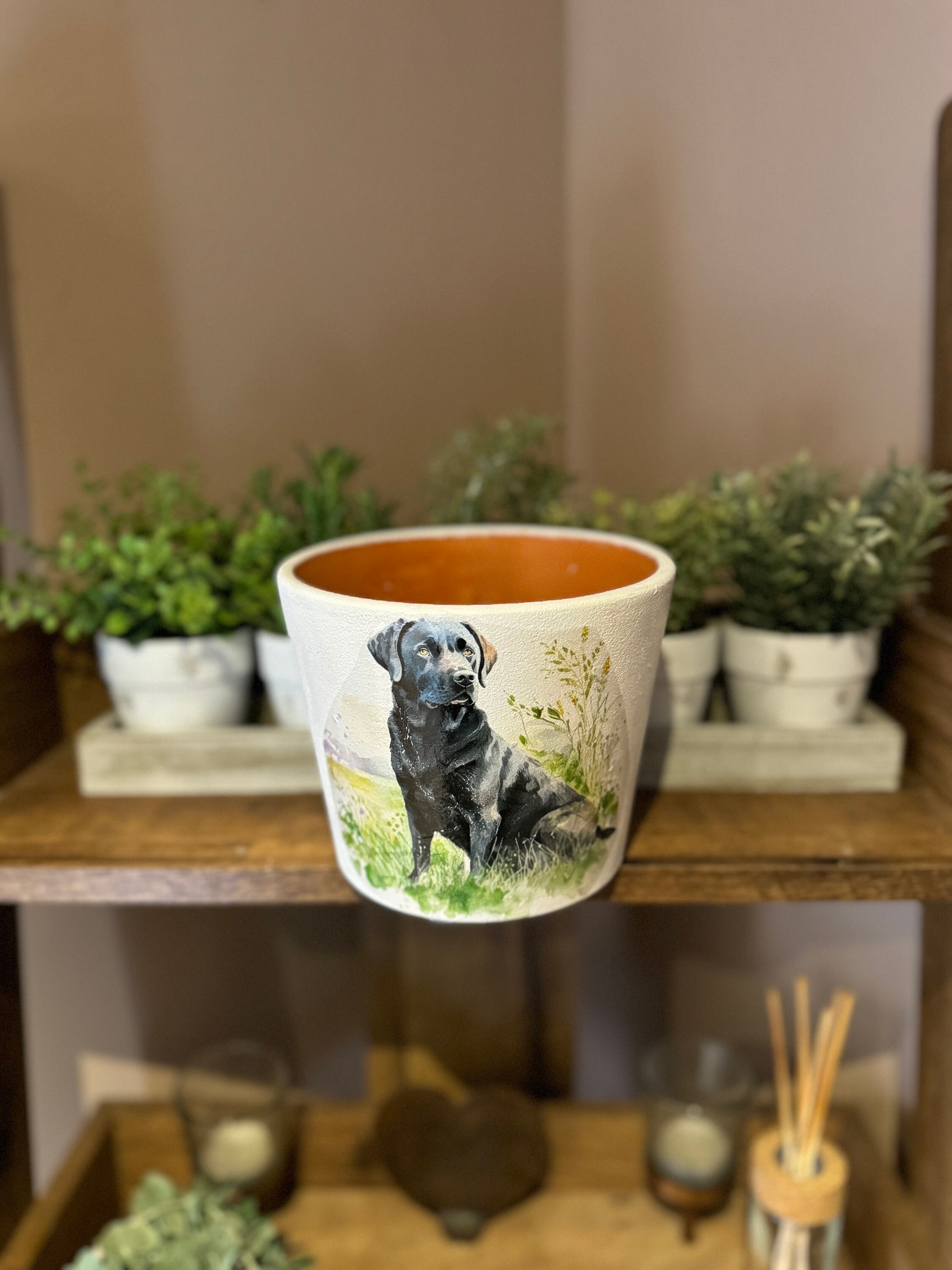 Stunning Black Labrador Gifts. Wax Melters, Light up Bottles, Slate ...