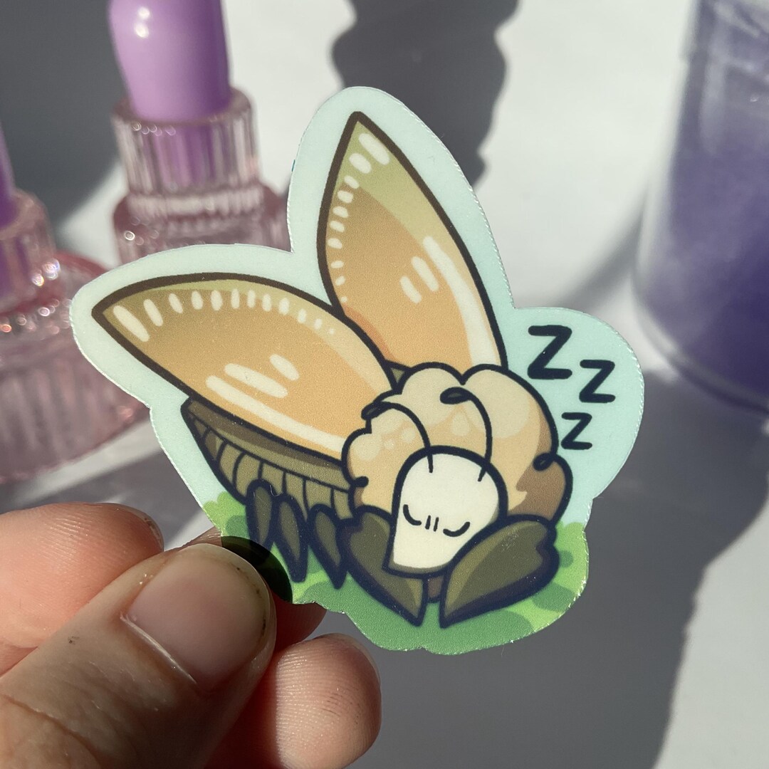 Sleepy Moth Vinyl Sticker - Etsy