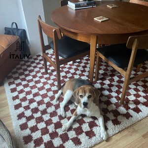 Dark Brown and White Checkered Rug, Moroccan Berber Checkered Rug ...