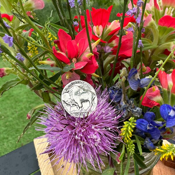 Buffalo Coin Ring - Etsy