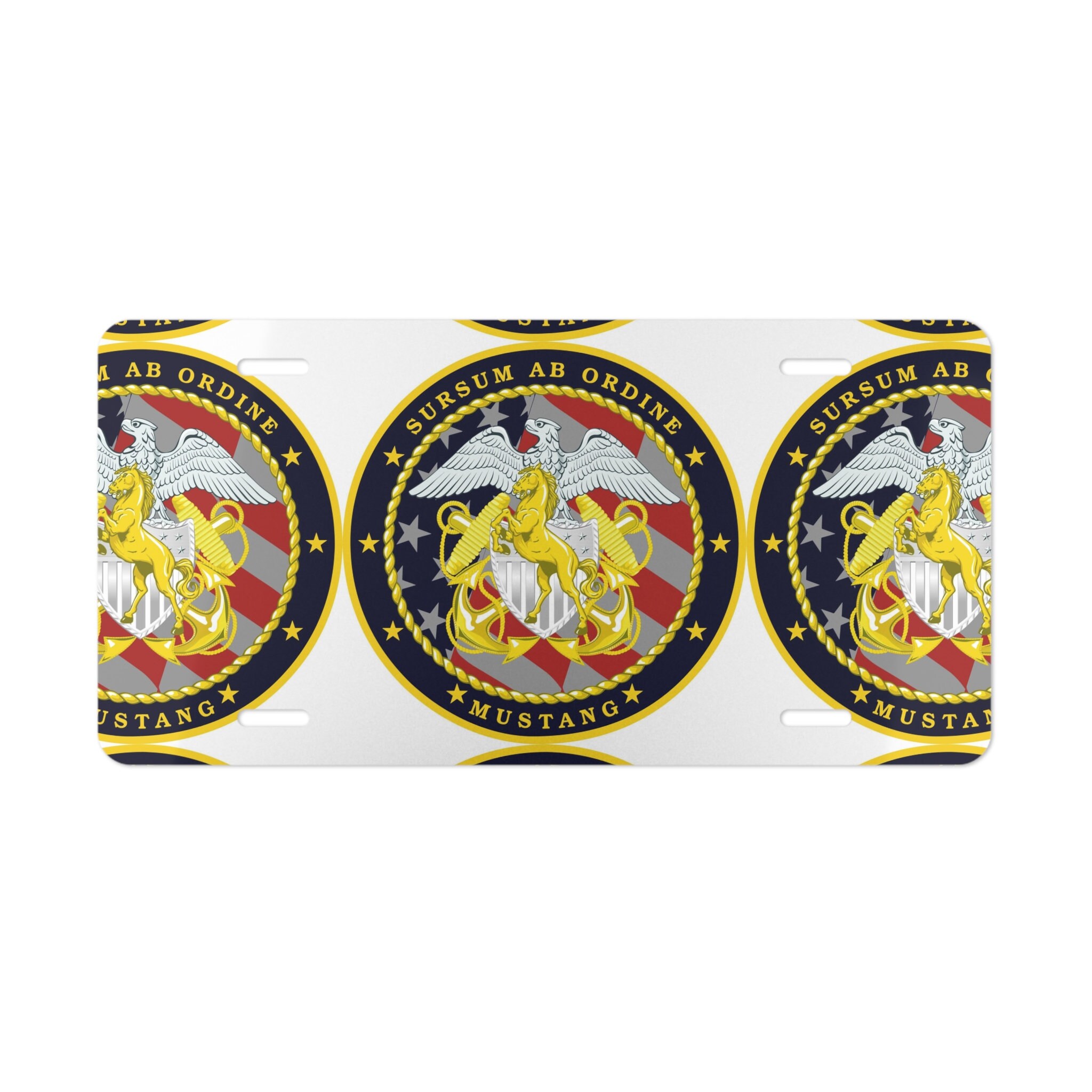 US Navy Limited Duty Officer Chief Warrant Officer LDO CWO Mustang ...