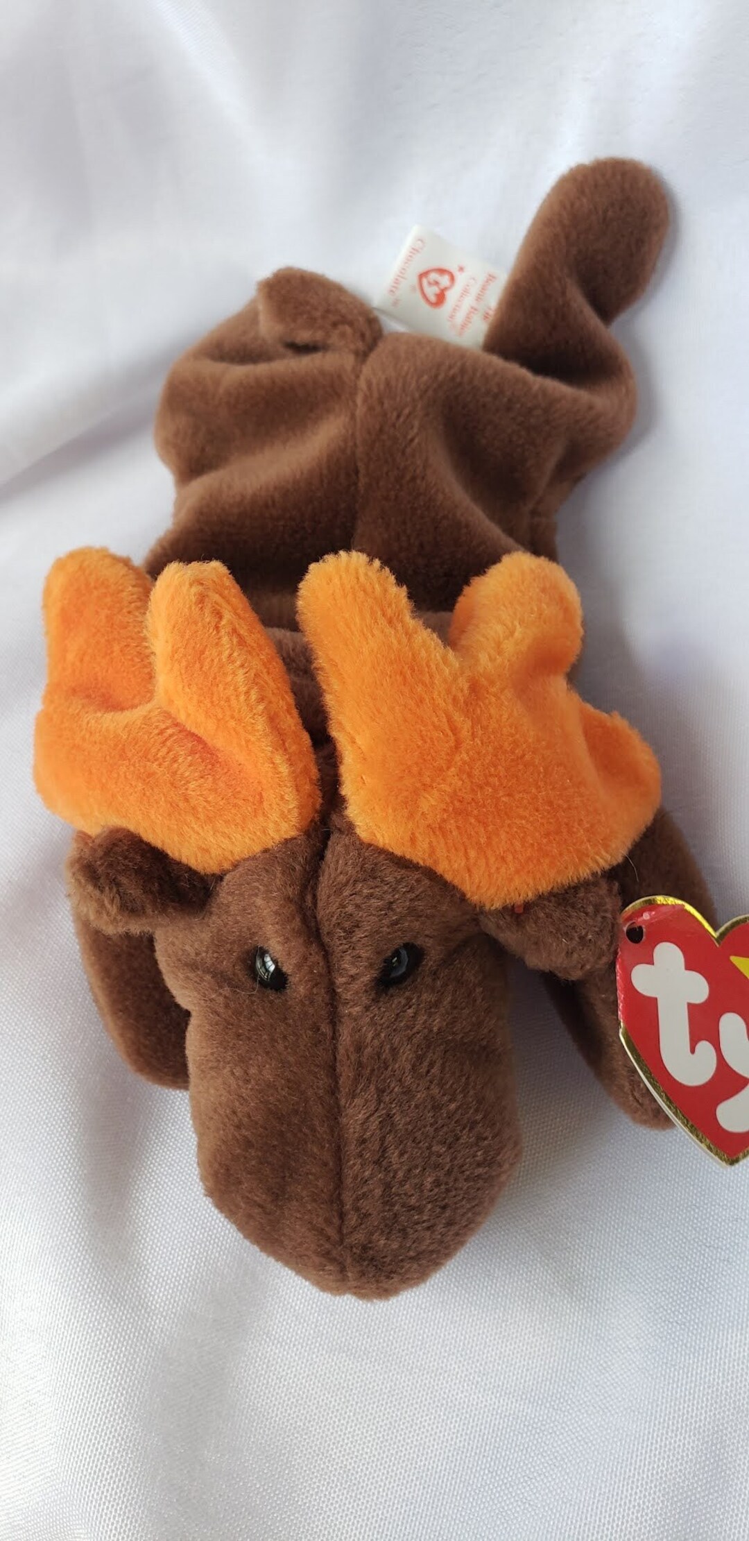 TY Beanie Baby - CHOCOLATE the Moose. 1993. Vintage - Etsy