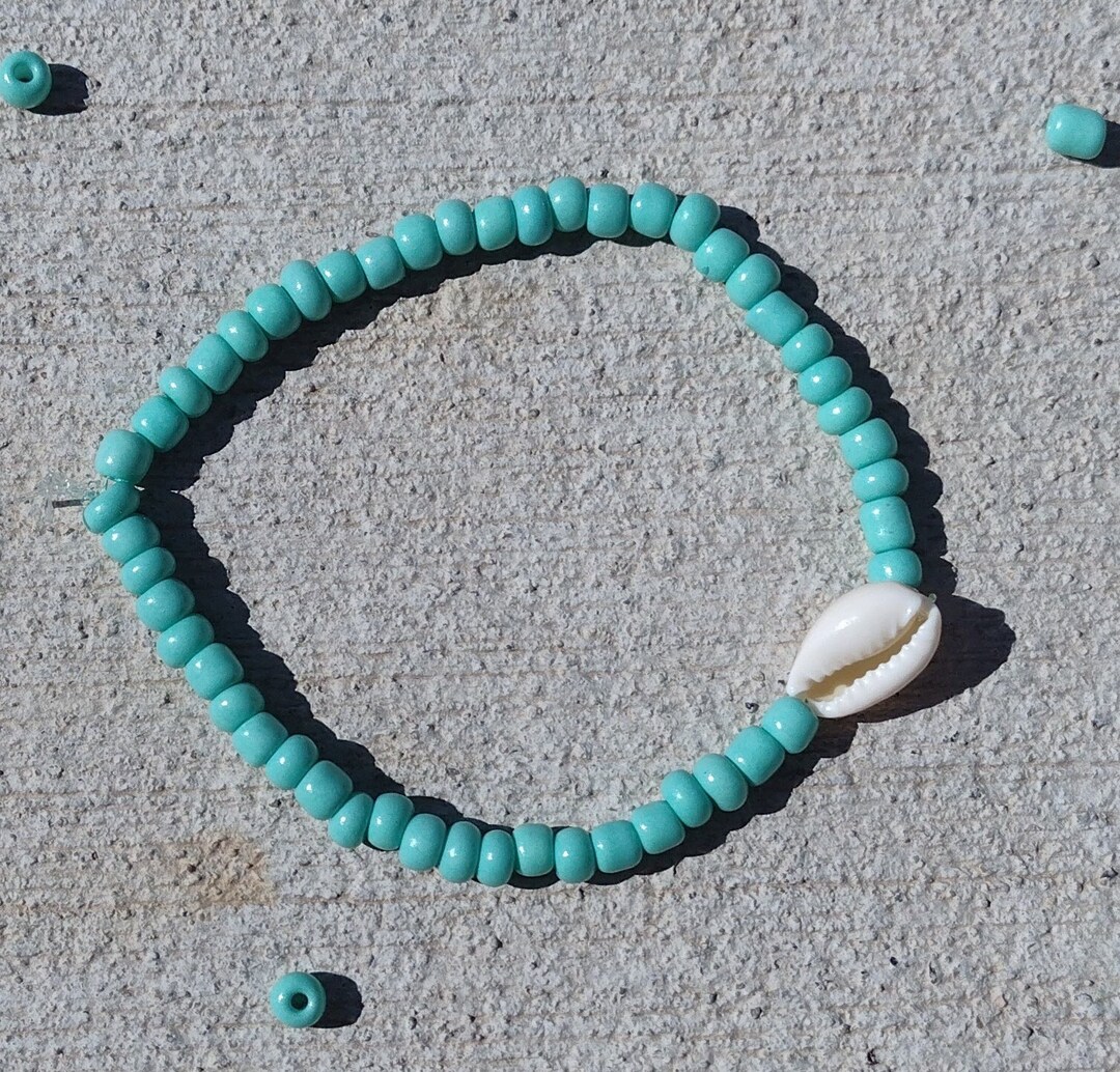 Shell Shine - Etsy
