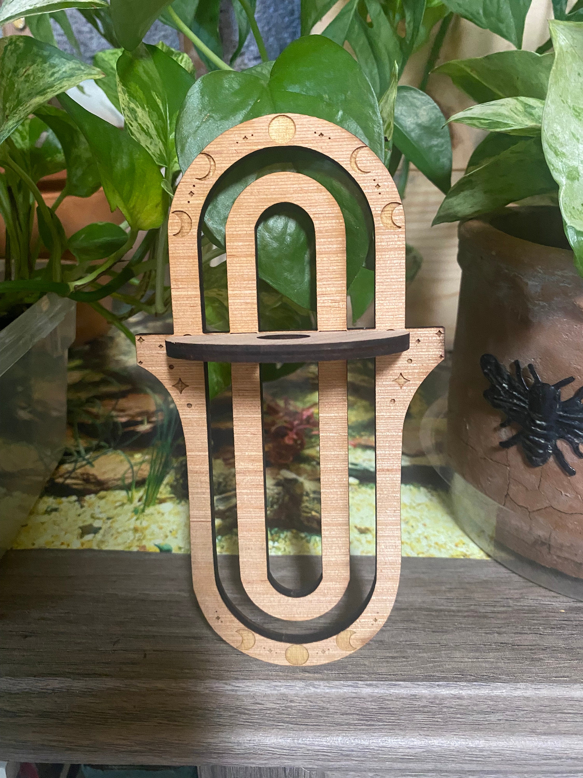 Moon Gate Propagation Station, Houseplant Propagation, Houseplant ...