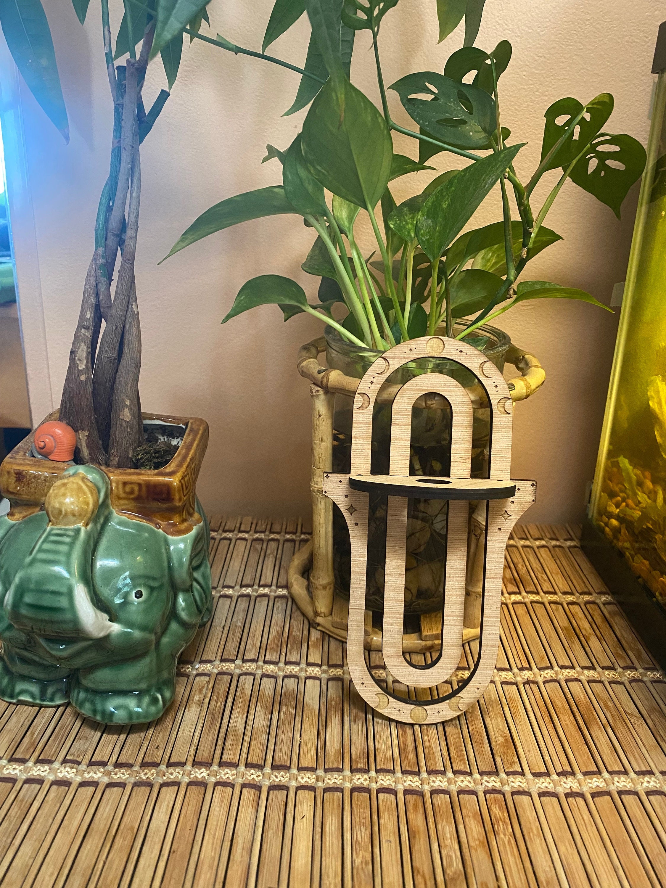 Moon Gate Propagation Station, Houseplant Propagation, Houseplant ...