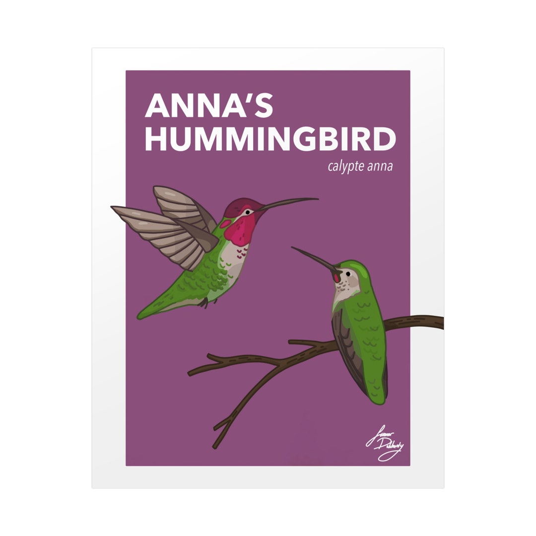 Anna's Hummingbird 8x10 Bird Poster - Etsy
