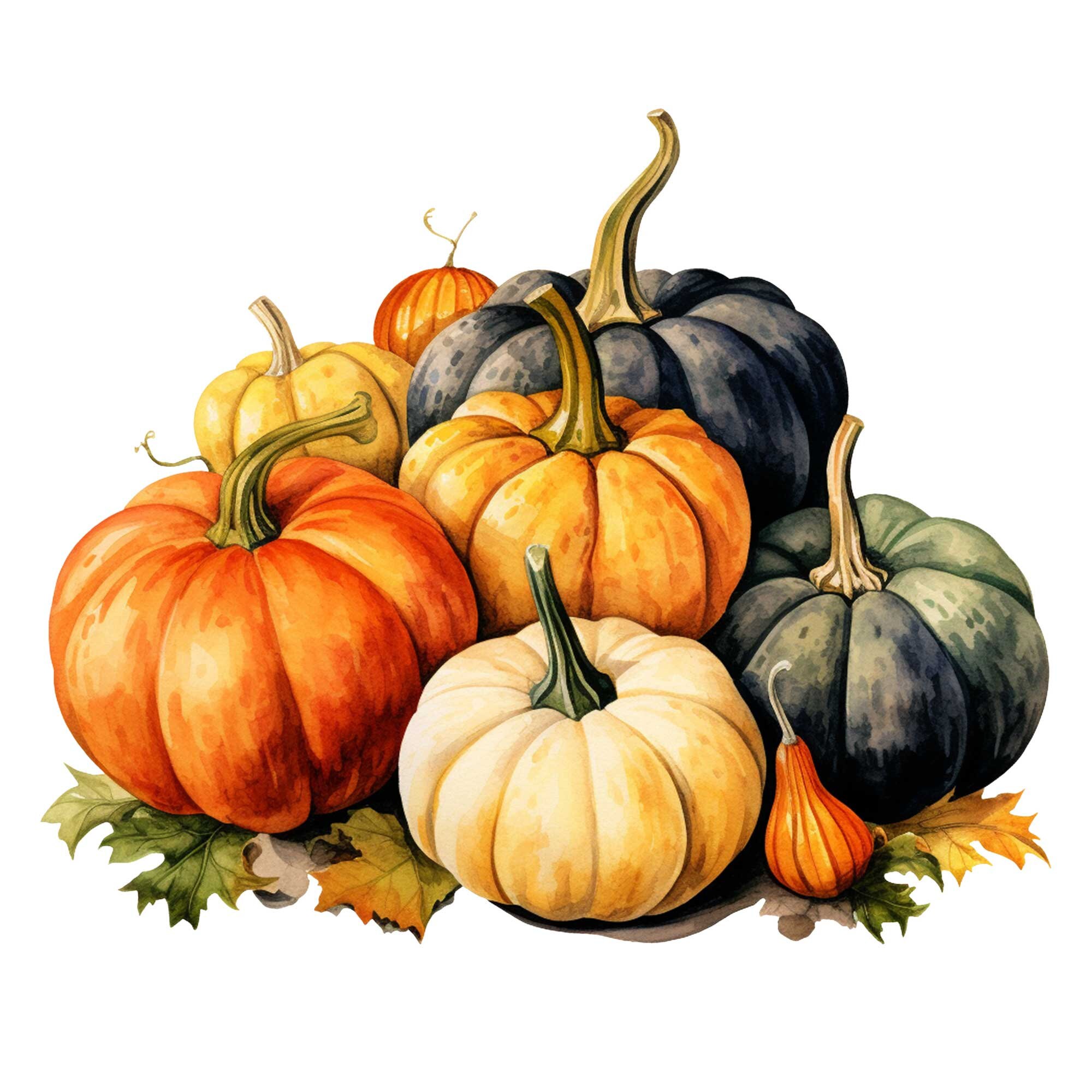 Pumpkin Watercolor Clipart in PNG, 20 Images Ideal for Fall ...