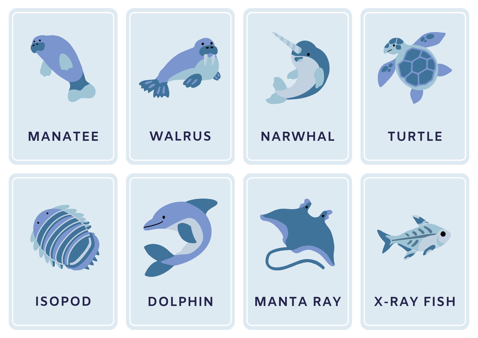 24 Ocean Animals Flashcards | Montessori Flashcards | Pre-school Cards ...