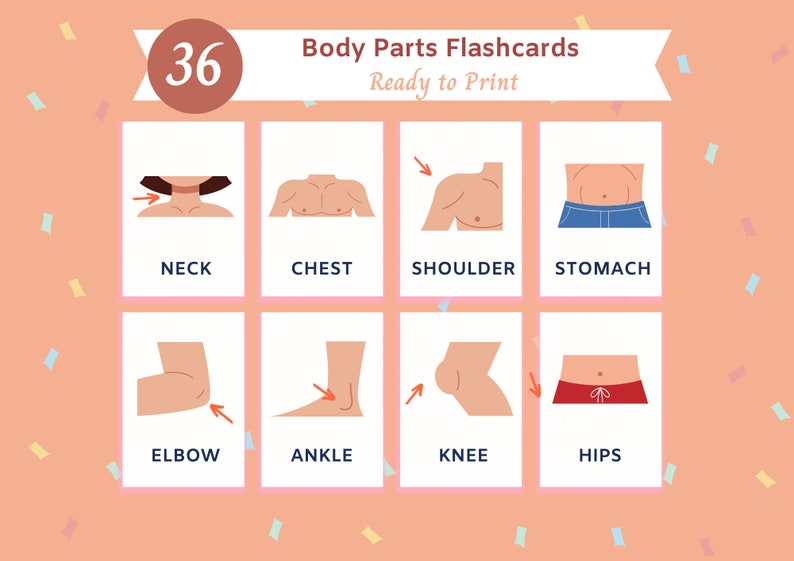 36 Body Parts Flashcards | Montessori Flashcards | Pre-school Cards ...