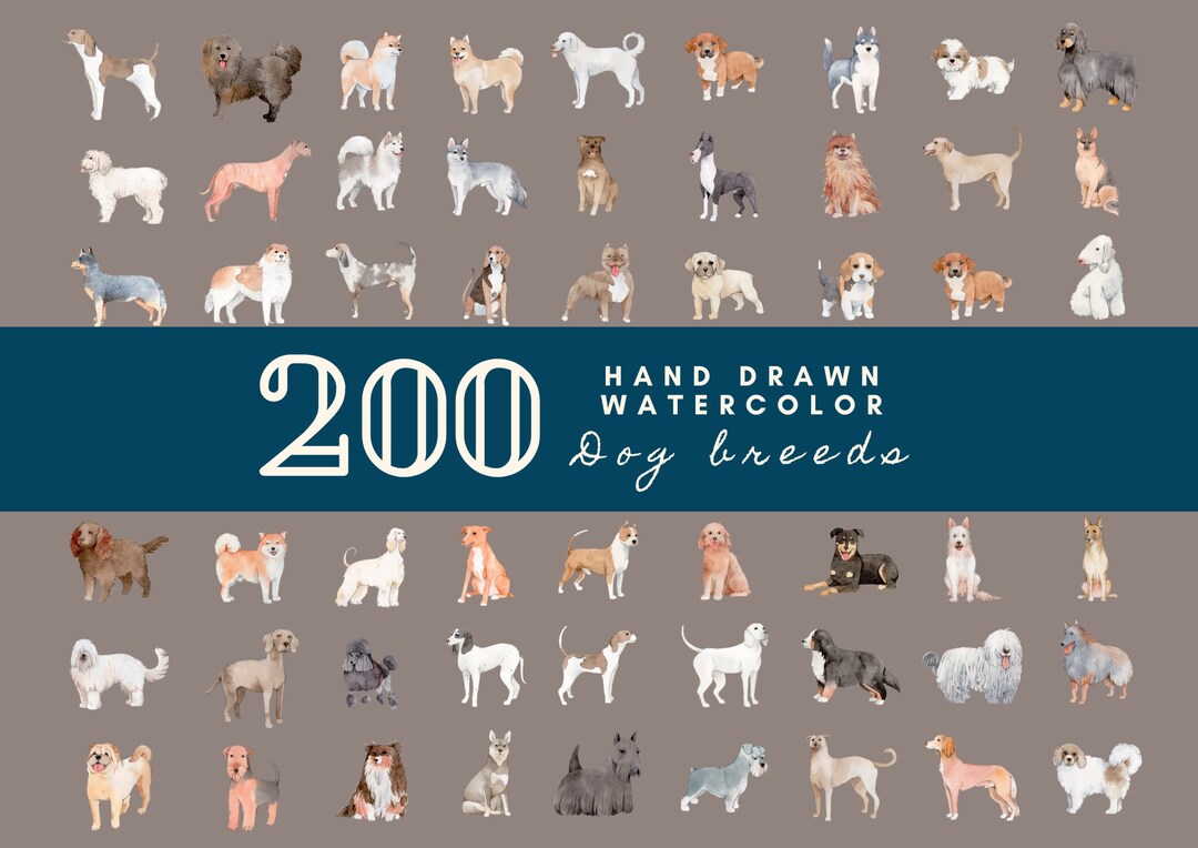 200 Watercolor Dog Breeds Clipart | Pet Store Design | Dog Lover ...