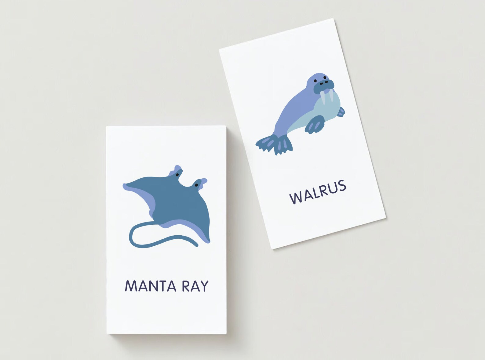 24 Ocean Animals Flashcards | Montessori Flashcards | Pre-school Cards ...