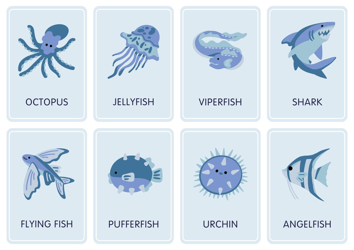24 Ocean Animals Flashcards | Montessori Flashcards | Pre-school Cards ...