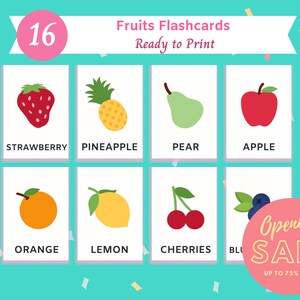 16 Fruits Flashcards Montessori Flashcards Pre-school - Etsy