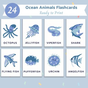 24 Ocean Animals Flashcards | Montessori Flashcards | Pre-school Cards ...