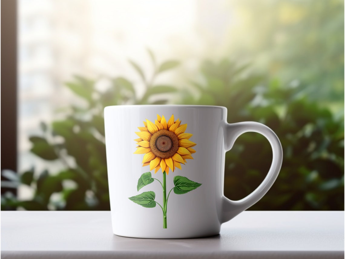 Sunflower, Clip Art and Image File, Instant Digital Download, 300 DPI ...