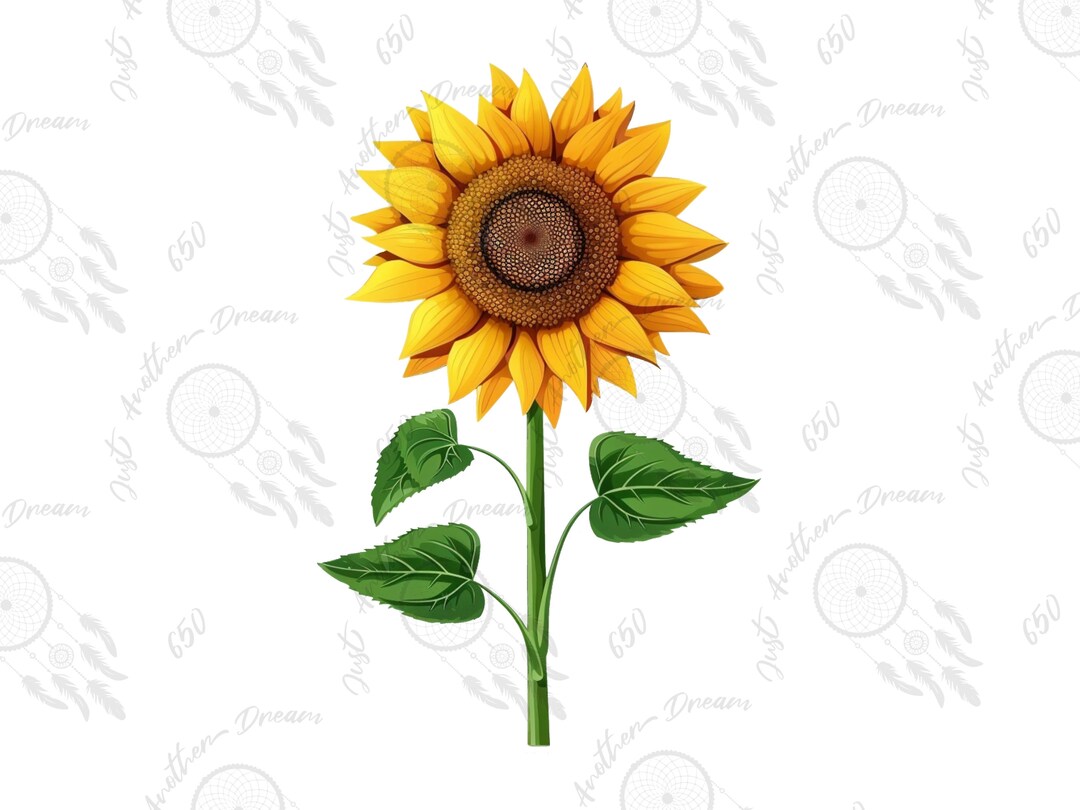 Sunflower, Clip Art and Image File, Instant Digital Download, 300 DPI ...