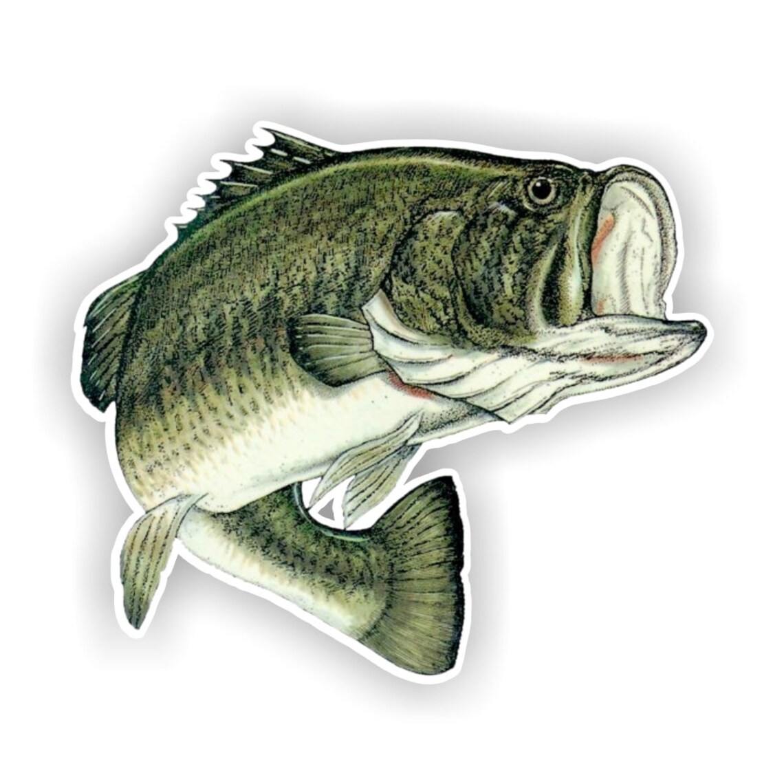 Largemouth Bass Fish Decal - Etsy