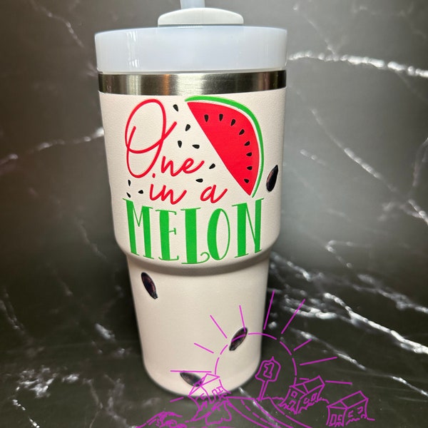 Stanley Water Melon - Etsy