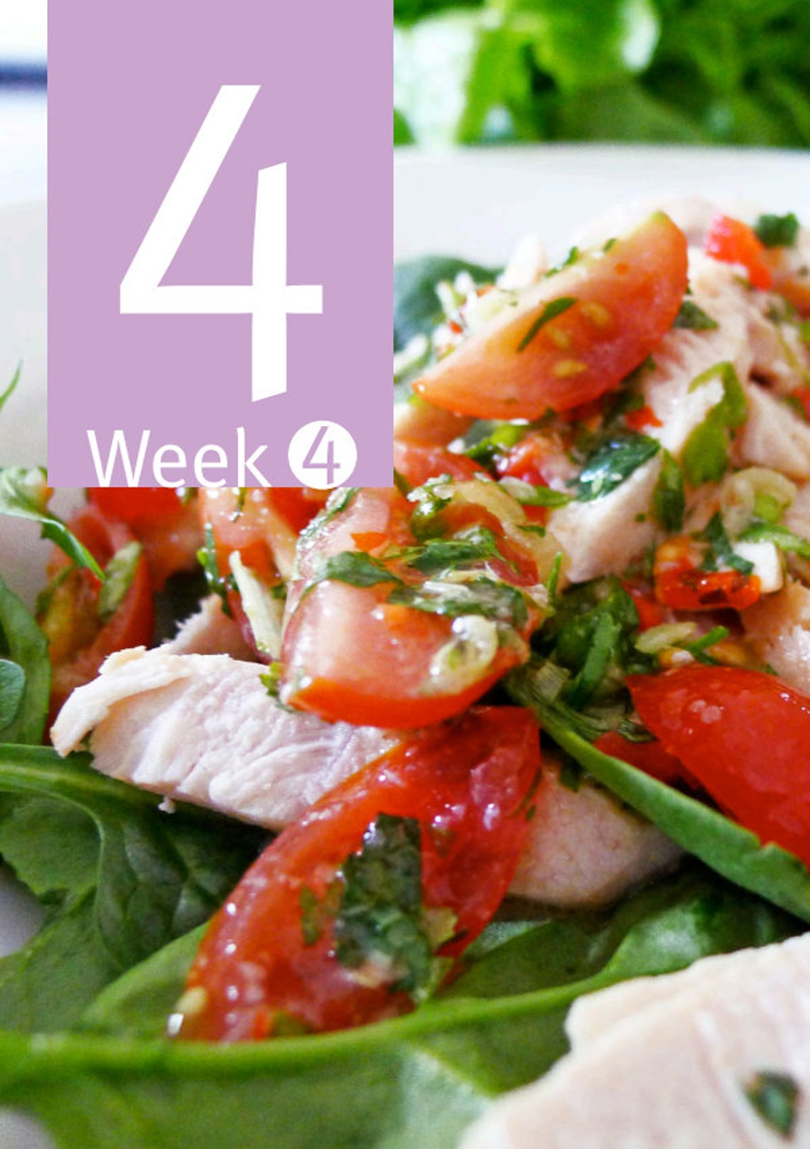 6 Week Meal Plan - Complete With All Recipes, Daily Guides ...