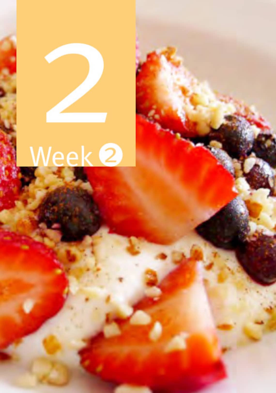 6 Week Meal Plan - Complete With All Recipes, Daily Guides ...