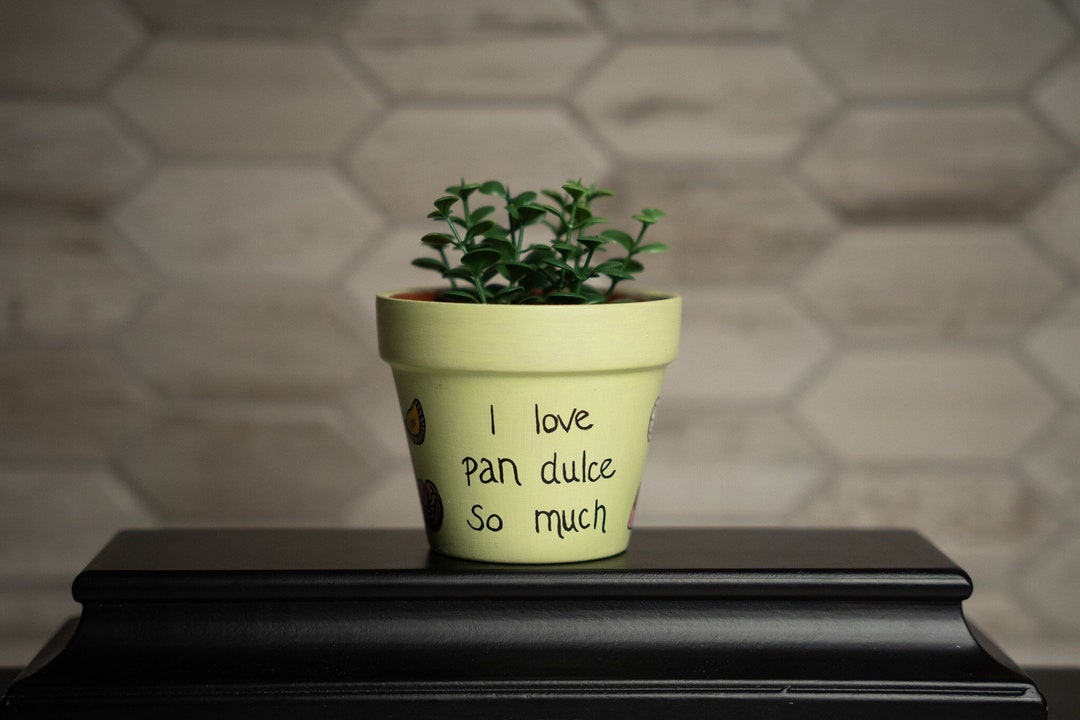 4 Hand Painted i Love Pan Dulce so Much Planter - Etsy