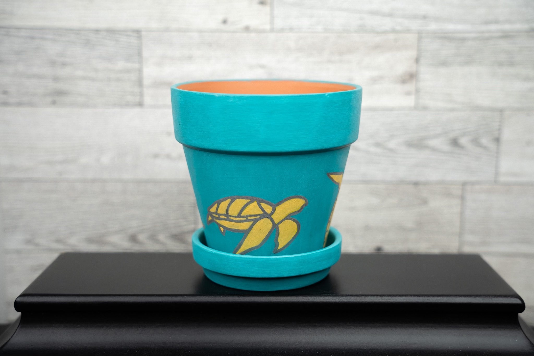 4 Hand Painted Turtle Planter With Saucer - Etsy