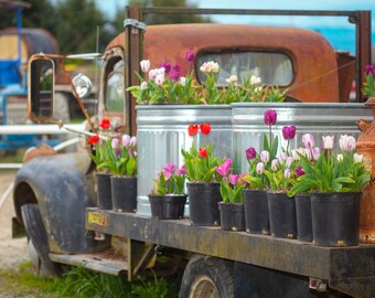 Sponsors Decal Sticker for RC Car digital Download for - Etsy