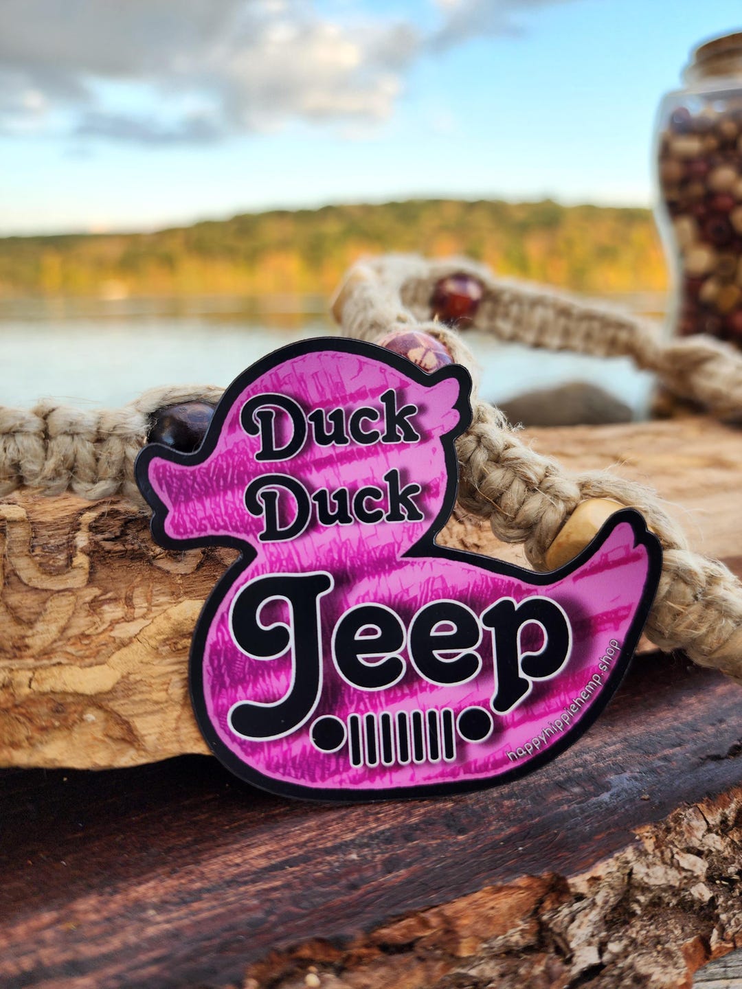 Duck Magnet, Car Accessory, Collectible Designs, Girl Duck, Duck Lovers ...