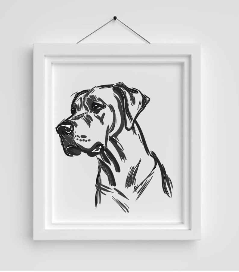 Great Danes SVG, Great Danes Dog Svg, Great Danes Clipart - Png - DIY ...